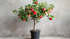 Can I Grow an Apple Tree in a Pot? - Orchard Knowledge