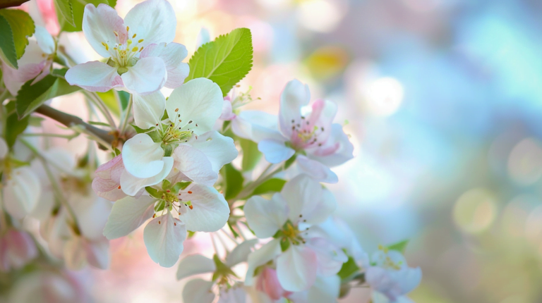 How Do Apple Trees Pollinate? - Orchard Knowledge