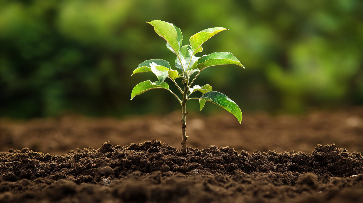 Can Apple Trees Grow in Clay Soil? A Comprehensive Guide - Orchard ...